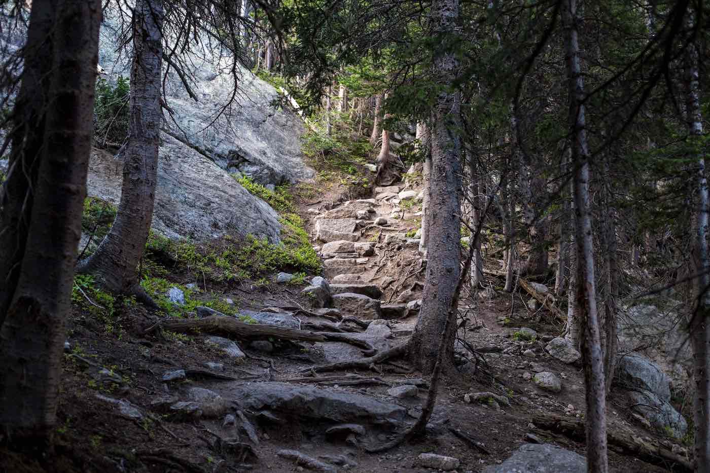 The First Step — The Focus Course